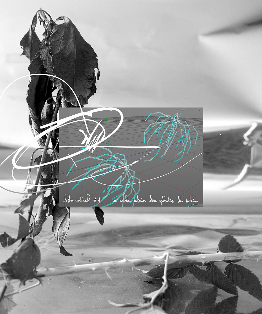 Daniel Jablonski: A vida interior das plantas de interior - Janaina Torres